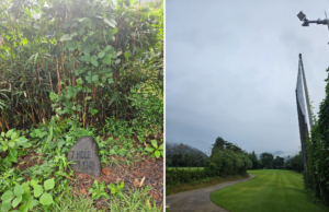 하동cc 골프장 9개 홀 코스 및 특징 소개 - powershin