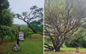 하동cc 골프장 9개 홀 코스 및 특징 소개 - powershin
