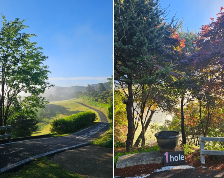 진산 cc 9홀 골프장 코스 및 장점 단점 산청 진산 골프랜드 노캐디 골프장 소개 - powershin